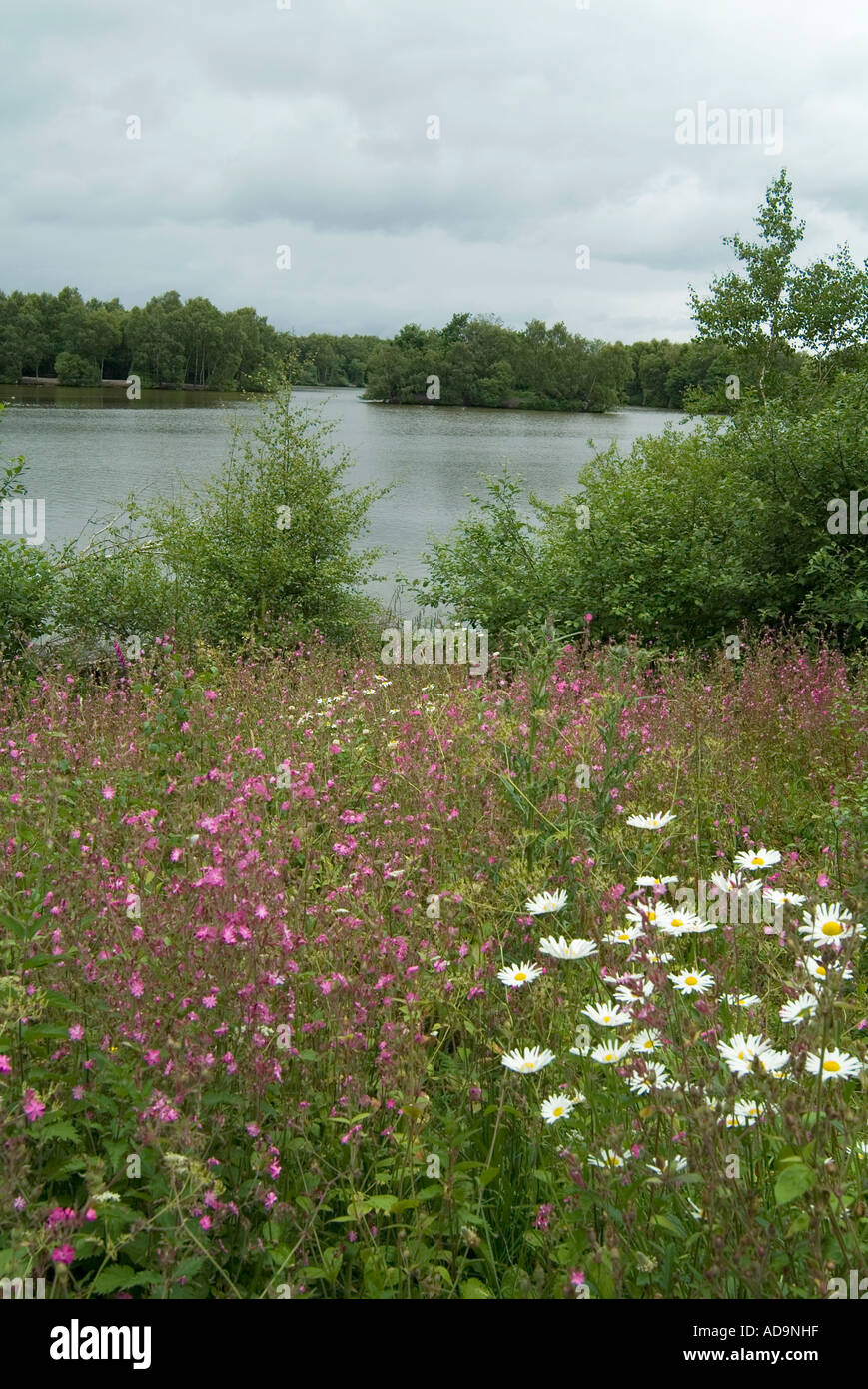 Shakerley mere hi-res stock photography and images - Alamy