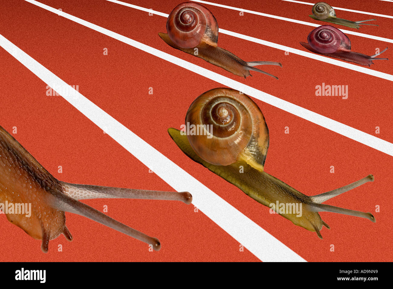 Snails pace hi-res stock photography and images - Alamy