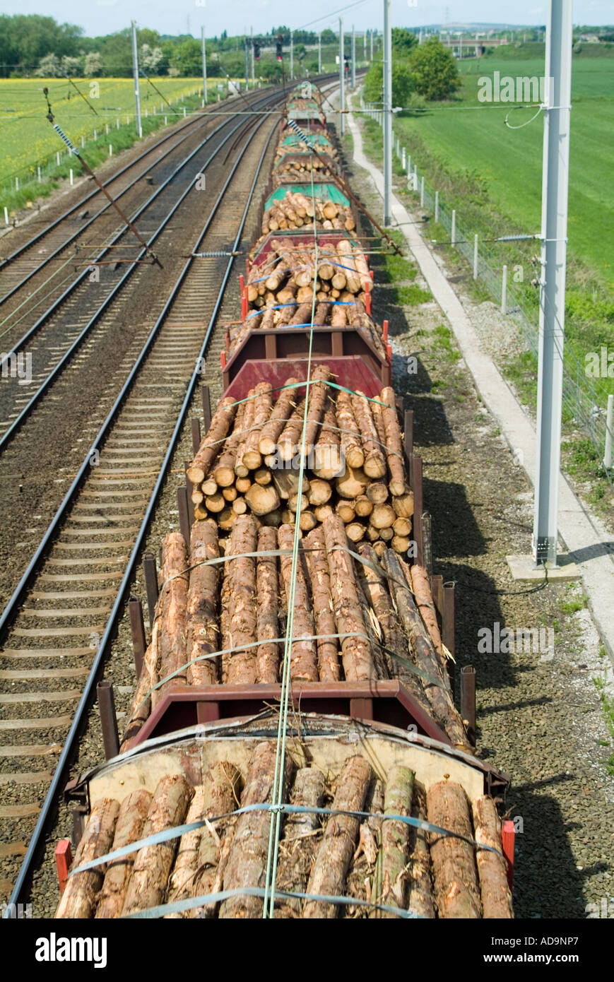 Freight train carrying a cargo of logs on the West Coast line near ...