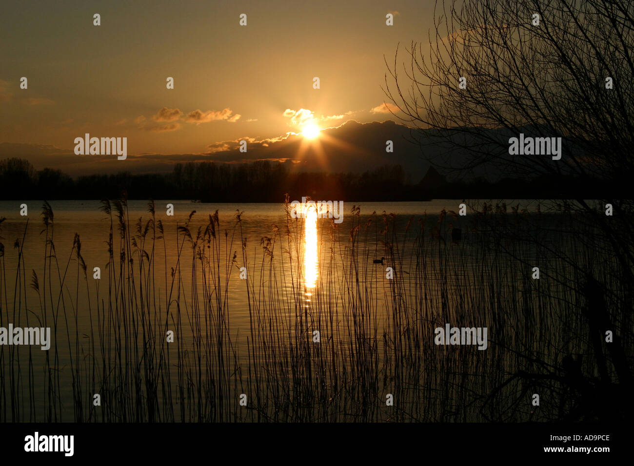 Priory park sunset lake Stock Photo - Alamy