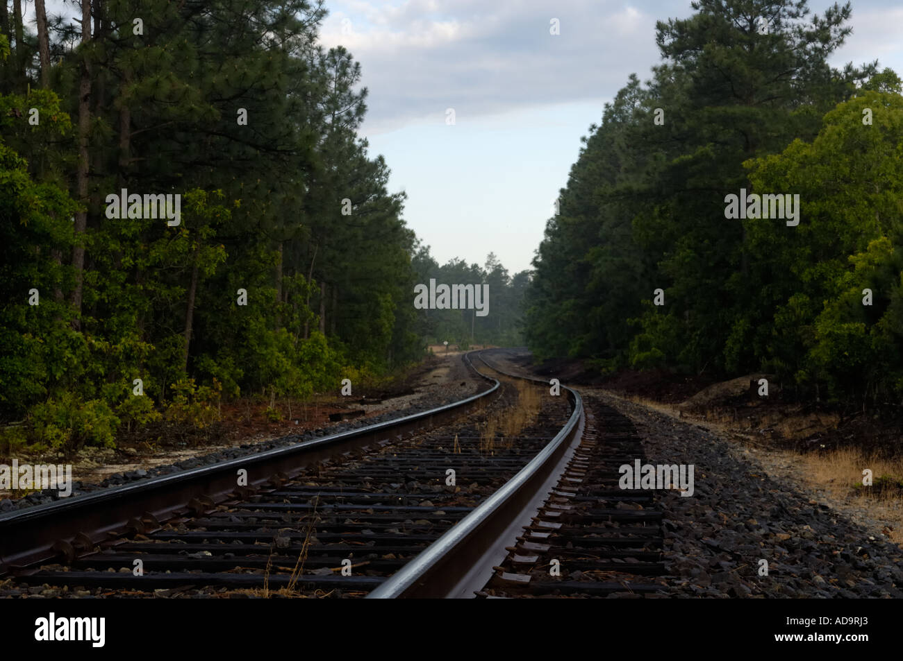 rural railroad tracks curving through trees Stock Photo - Alamy