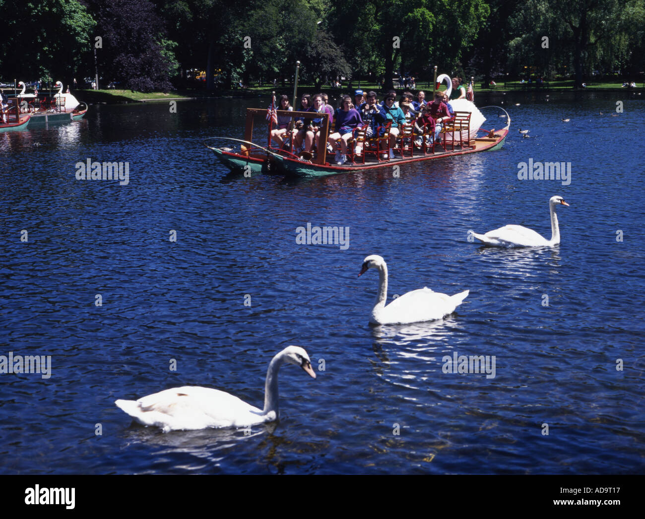 Boston Public Garden Lake Boston Massachusetts USA Stock Photo - Alamy