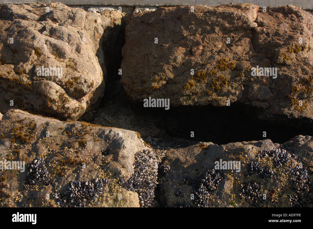 Old Breakwall Stones Stock Photo - Alamy