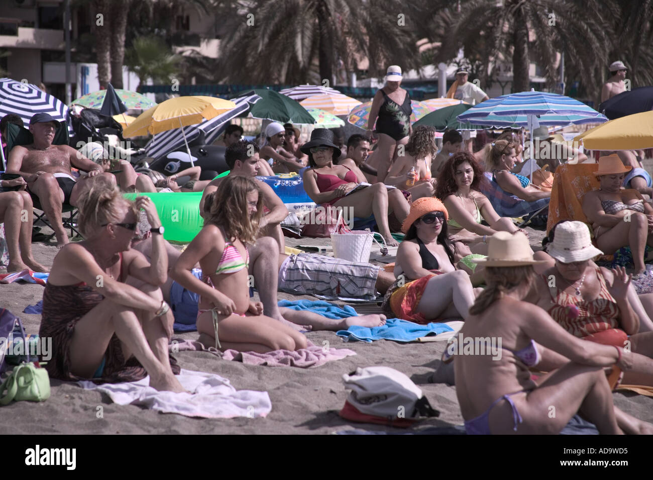 CROWDED BEACH SCENE Stock Photo - Alamy