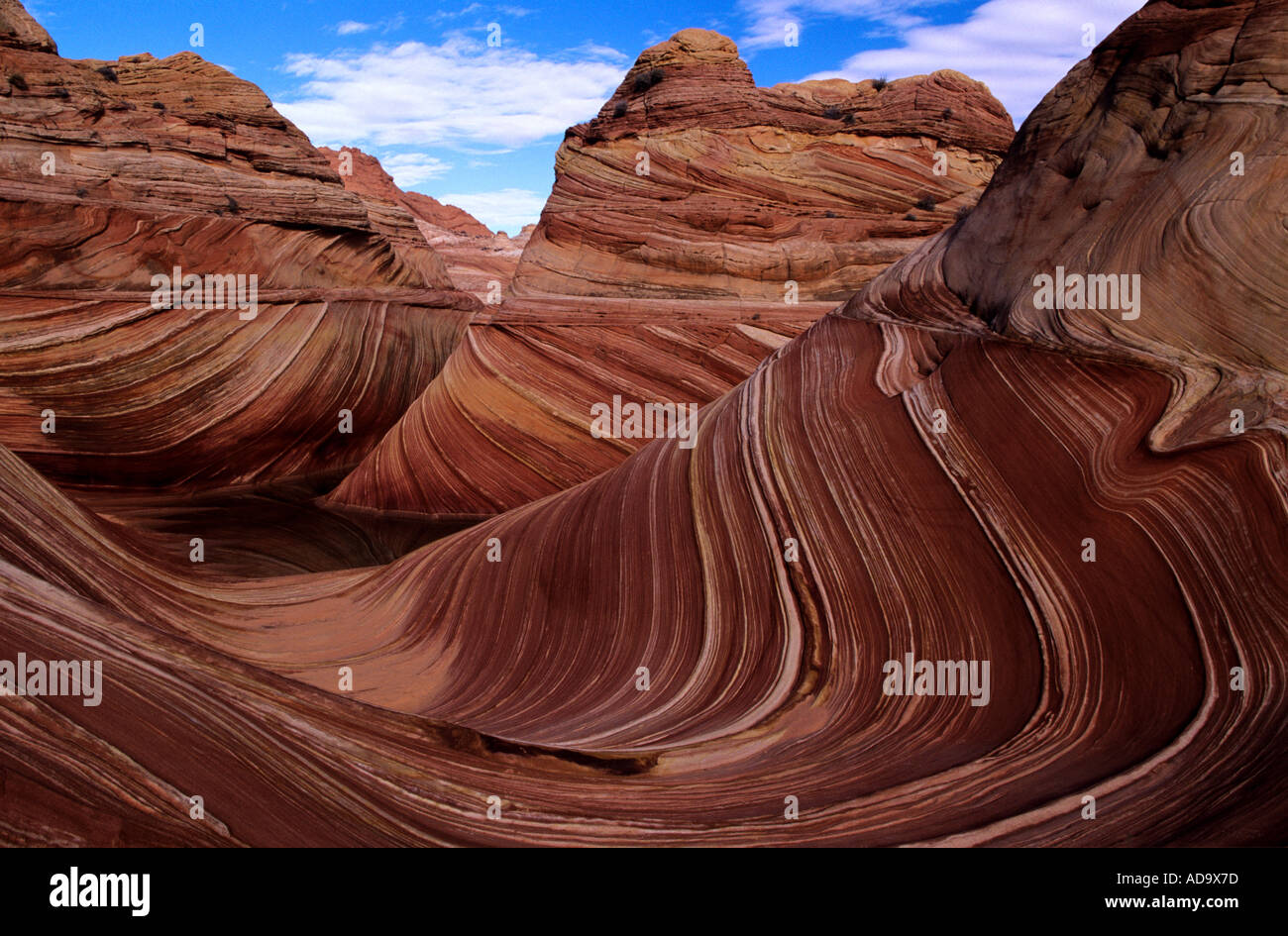 The wave Arizona United States Red sandstone Stock Photo - Alamy