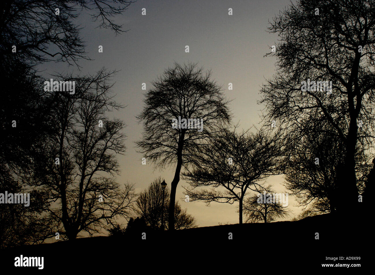 Silhouette evening view of Brandon Hill Stock Photo - Alamy