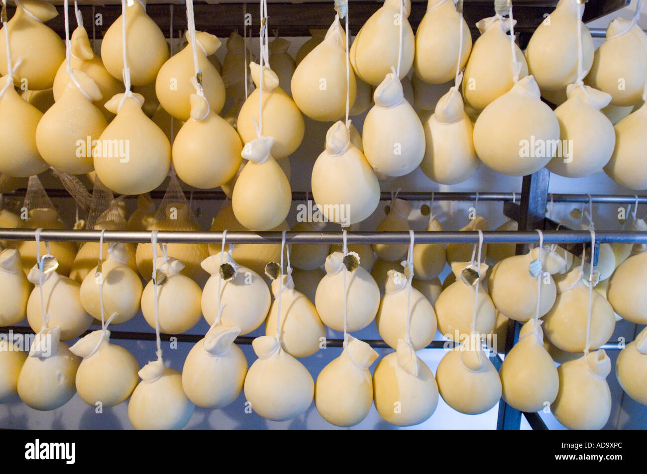 Italy. Sardinia. Small scale cheese production Stock Photo - Alamy