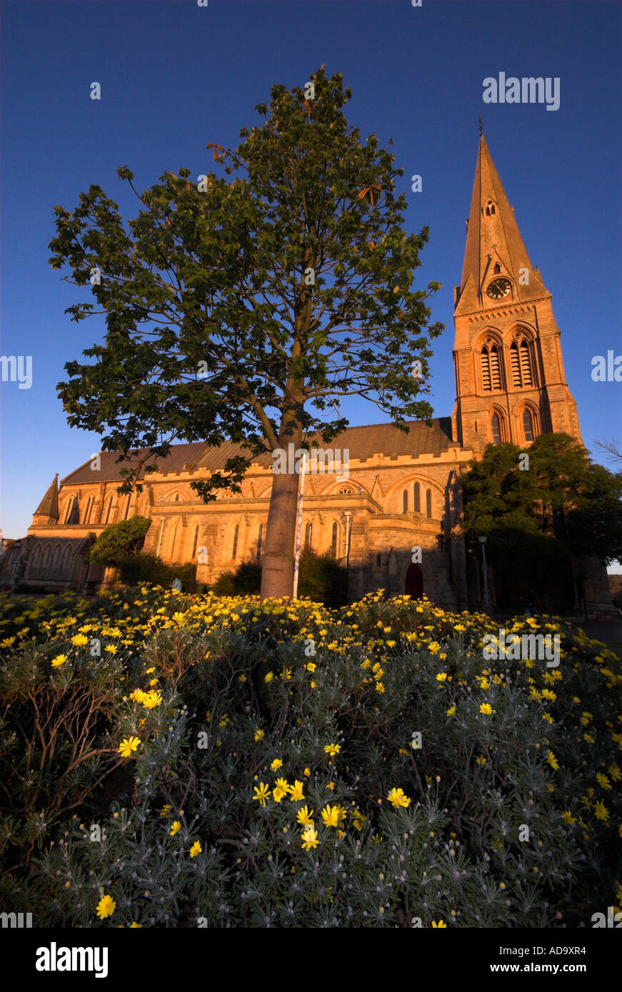 Cathedral of St Michael and St George, Grahamstown, Eastern Cape, South ...