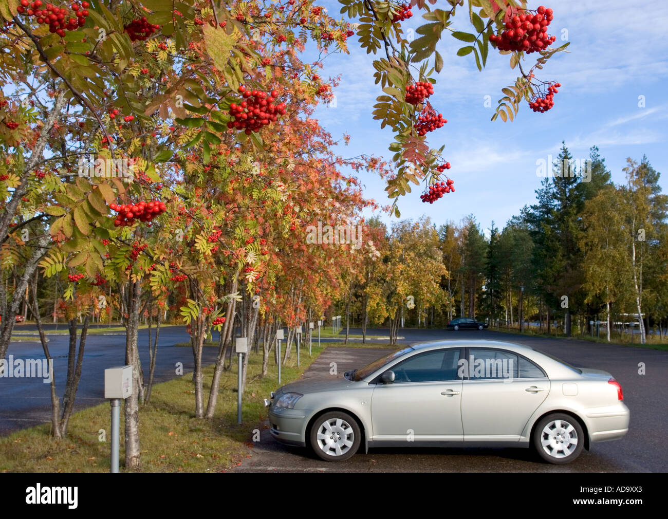 Avensis 1 hi-res stock photography and images - Alamy