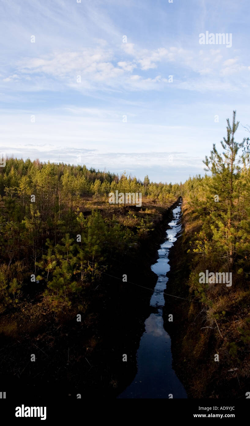 Trenched Finnish bog. Draining the swamp for better tree growth ...