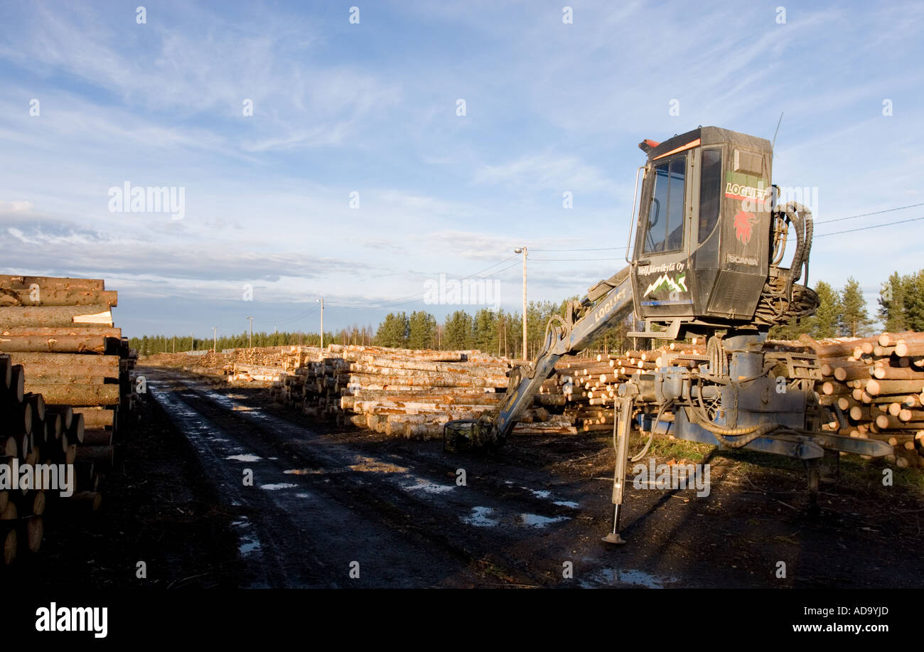 Log storage hi-res stock photography and images - Alamy
