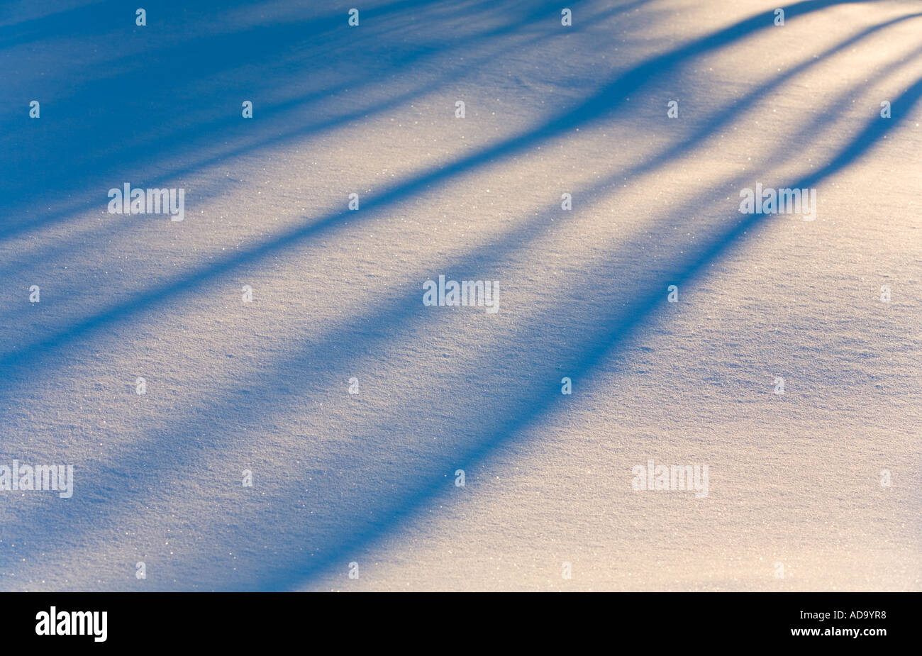 Blue linear shadows on snow surface , Finland Stock Photo - Alamy