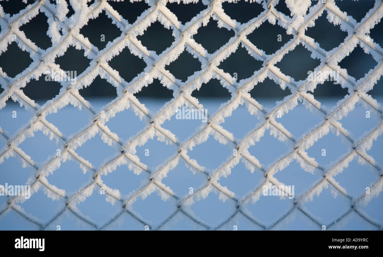 Snow covered mesh netting hi-res stock photography and images - Alamy