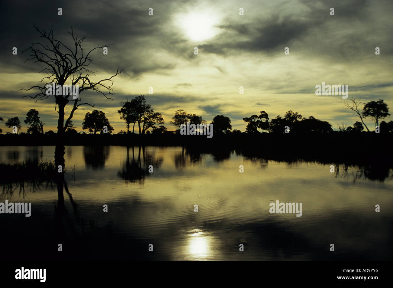 Sundown in kalahari desert High Resolution Stock Photography and Images ...