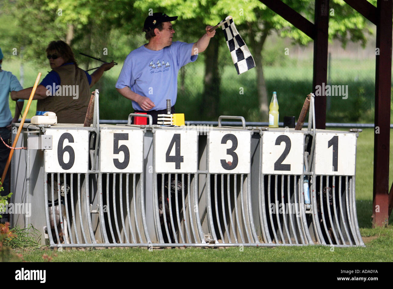 Greyhound race start hi-res stock photography and images - Alamy
