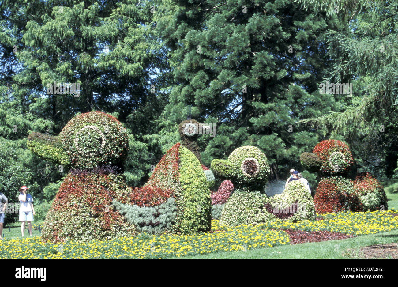 Coniferous flower beds hi-res stock photography and images - Alamy