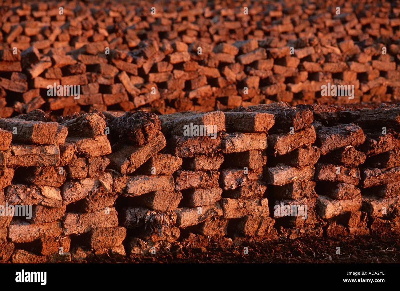 Bricks layout hi-res stock photography and images - Alamy