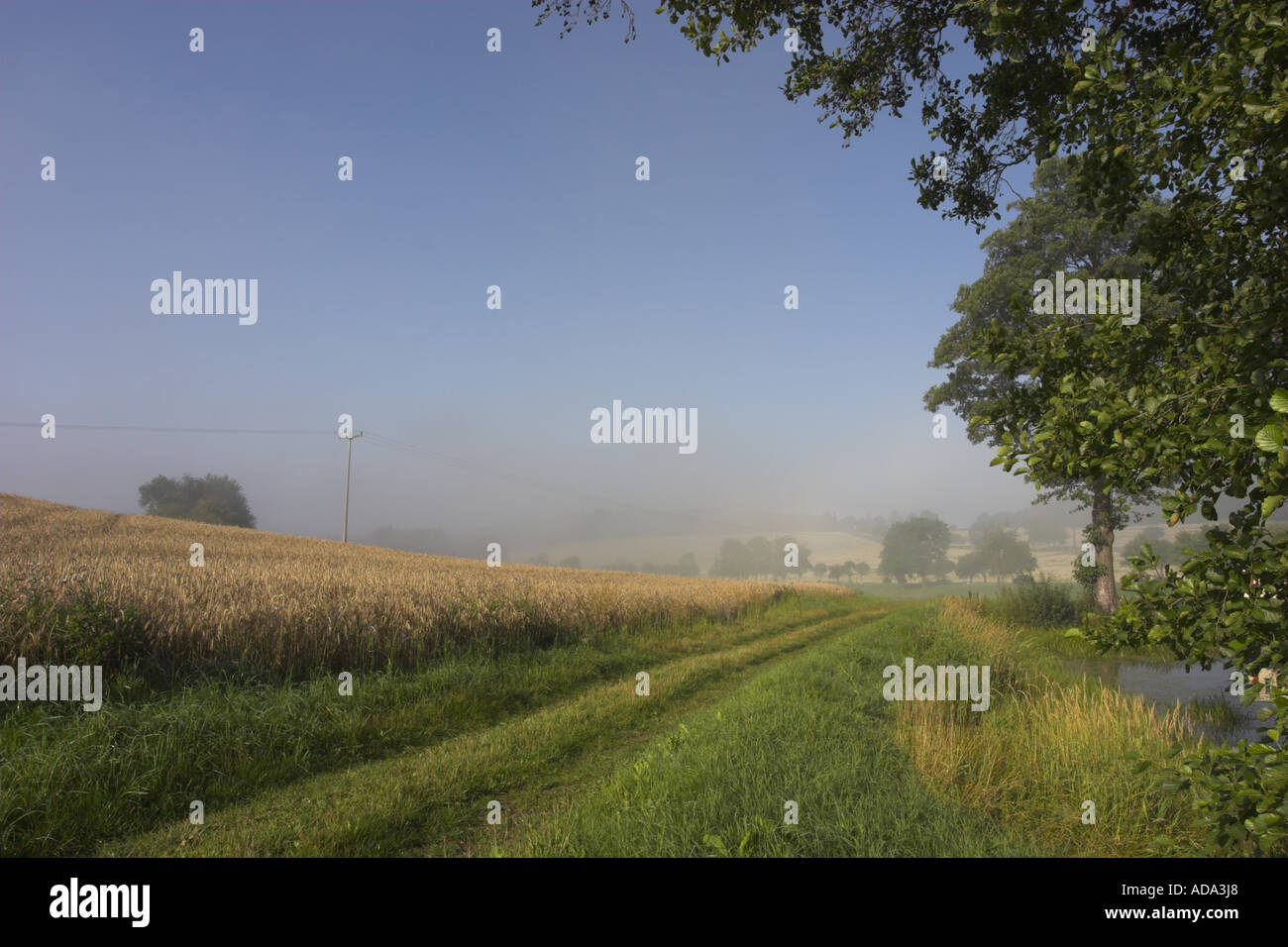field path in hilly field landscape, Germany Stock Photo - Alamy