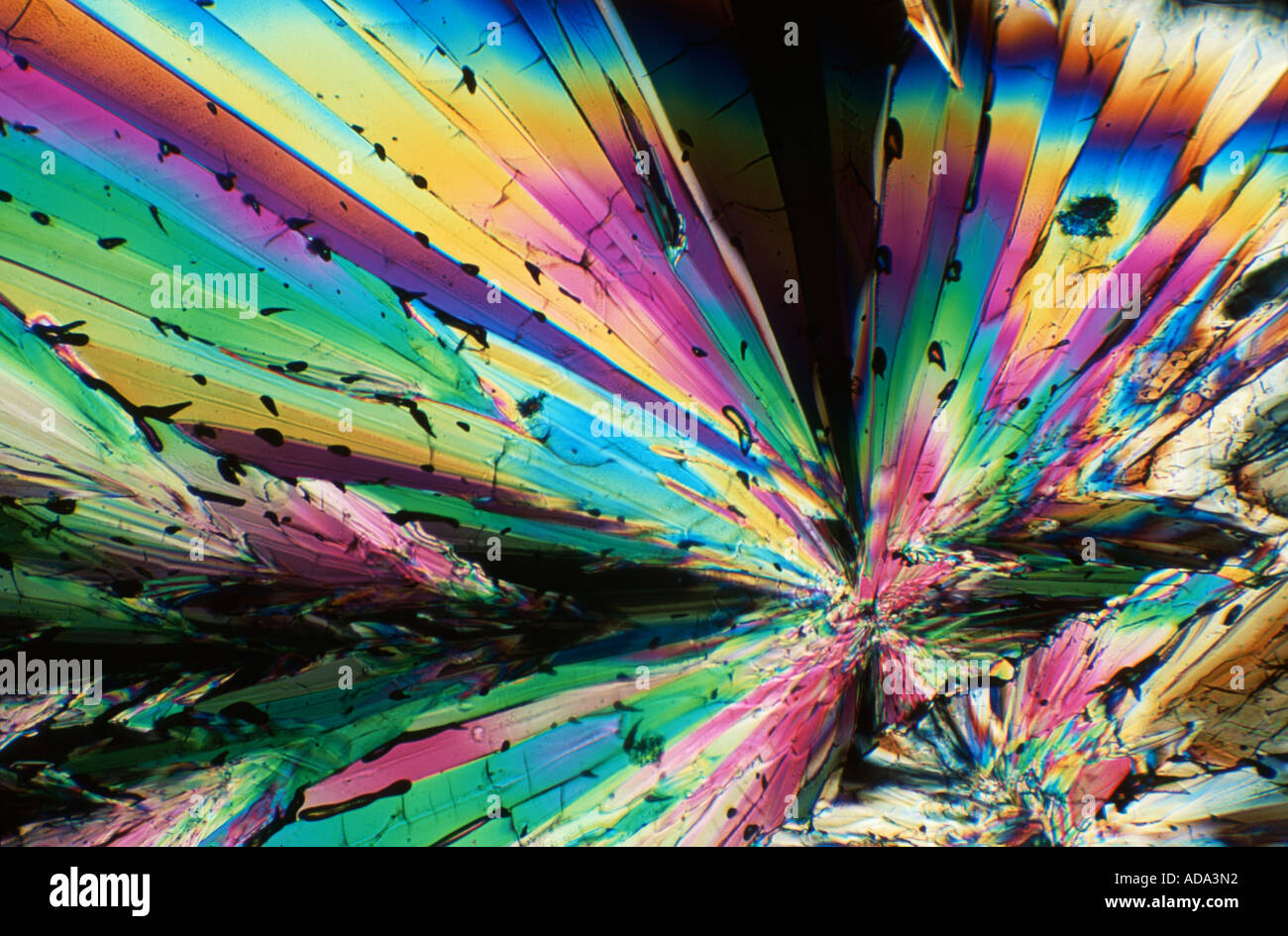 50 times zoom hi-res stock photography and images - Alamy