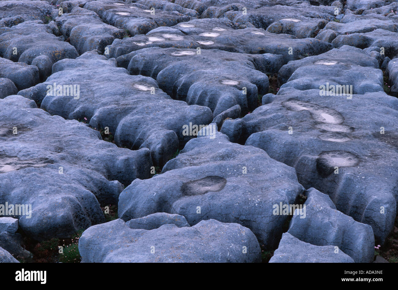 Bizarre natural structures hi-res stock photography and images - Alamy