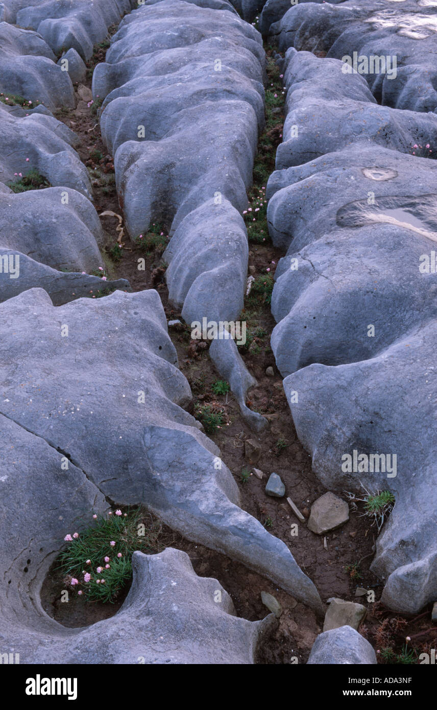 Slop Stones High Resolution Stock Photography and Images - Alamy