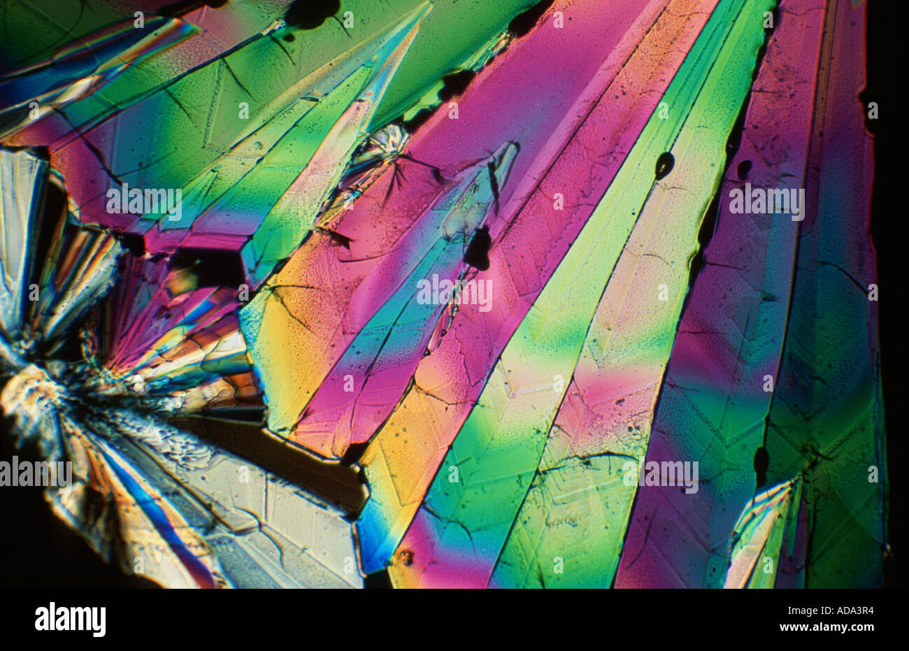 Sugar microscope hi-res stock photography and images - Alamy