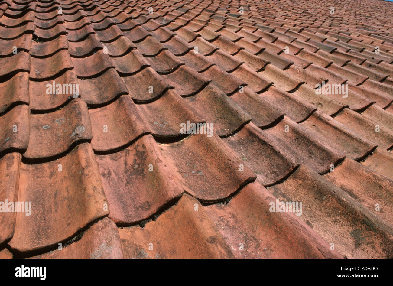 rooftiles, Germany, Lower Saxony, Cloppenburg Stock Photo - Alamy