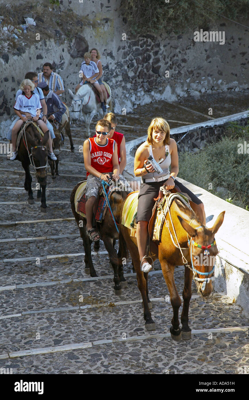 Donkey on stairs of santorini hi-res stock photography and images - Alamy