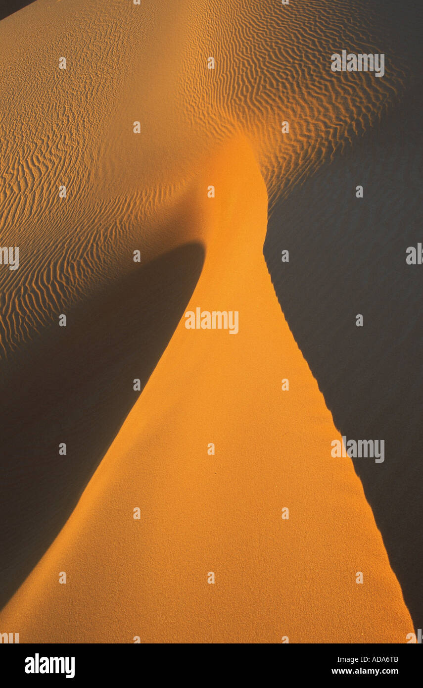 detail of parabolic dune, crest with luff and lee side, Libya, Erg ...