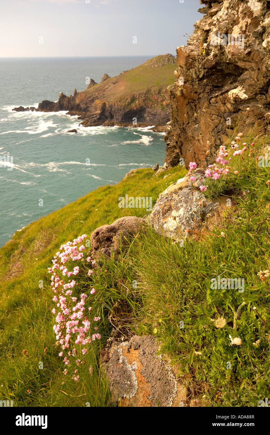 Rumps peninsula hi-res stock photography and images - Alamy