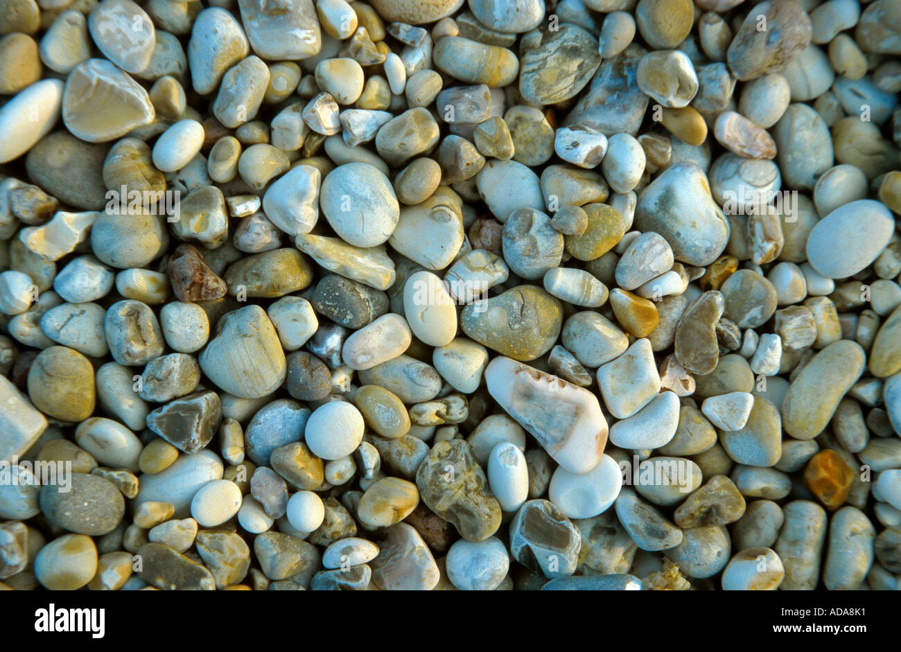 pebbles on the beach Stock Photo - Alamy