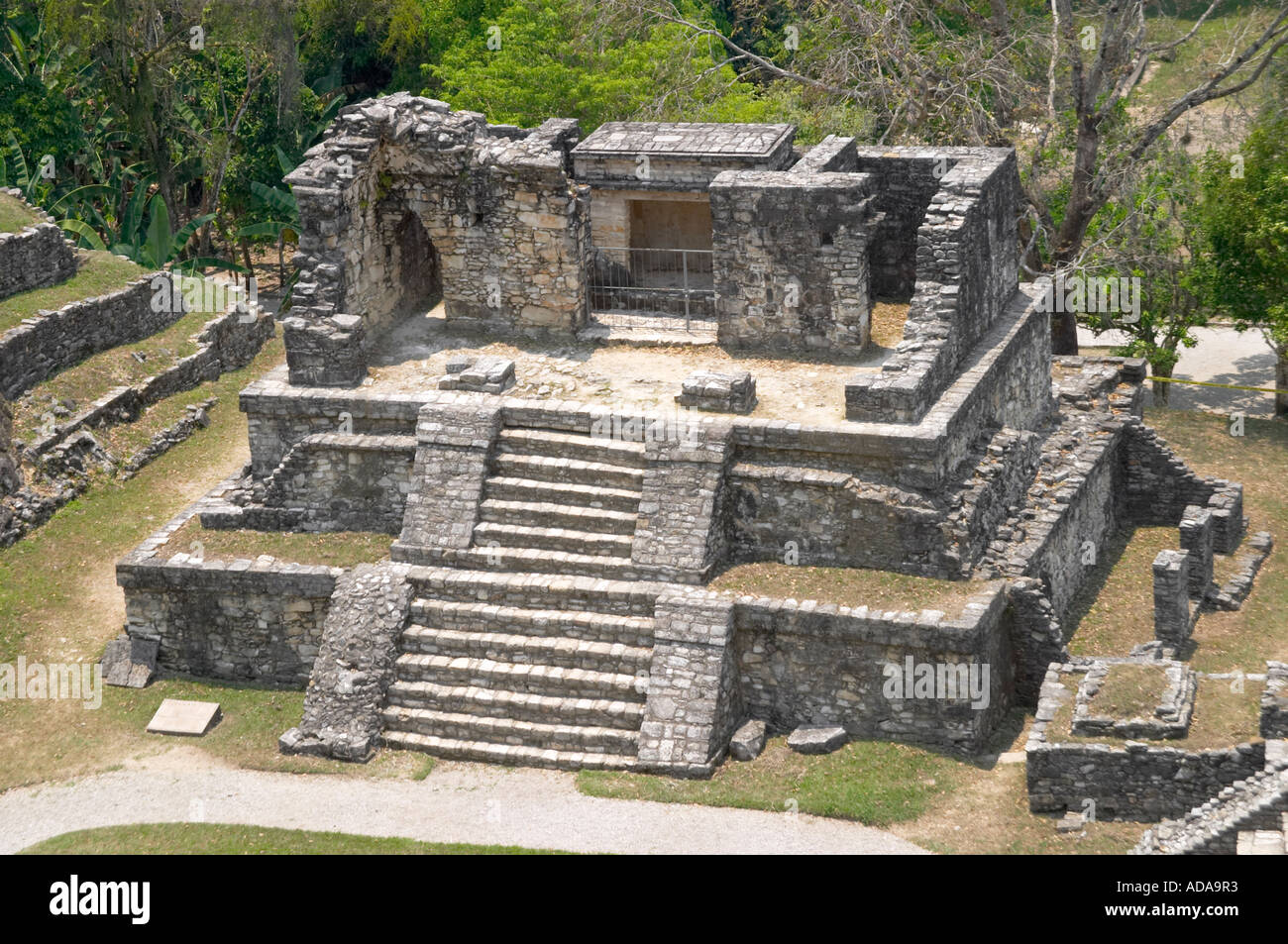Temple XIV Palenque archaeological site Mexico Stock Photo - Alamy