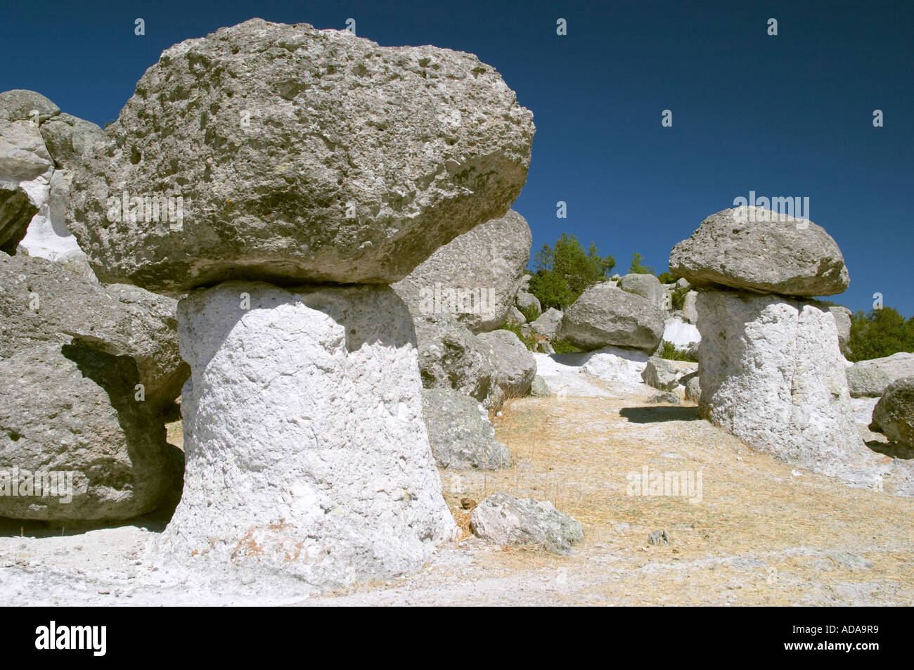 Mushroom valley in Creel Copper Canyon Mexico Stock Photo - Alamy
