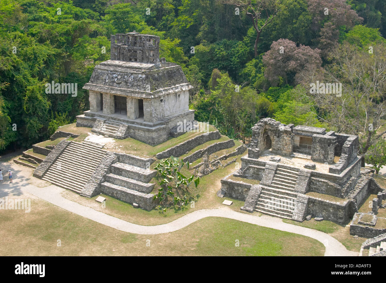 Temple of the sun and temple XIV Palenque archaeological site Mexico ...