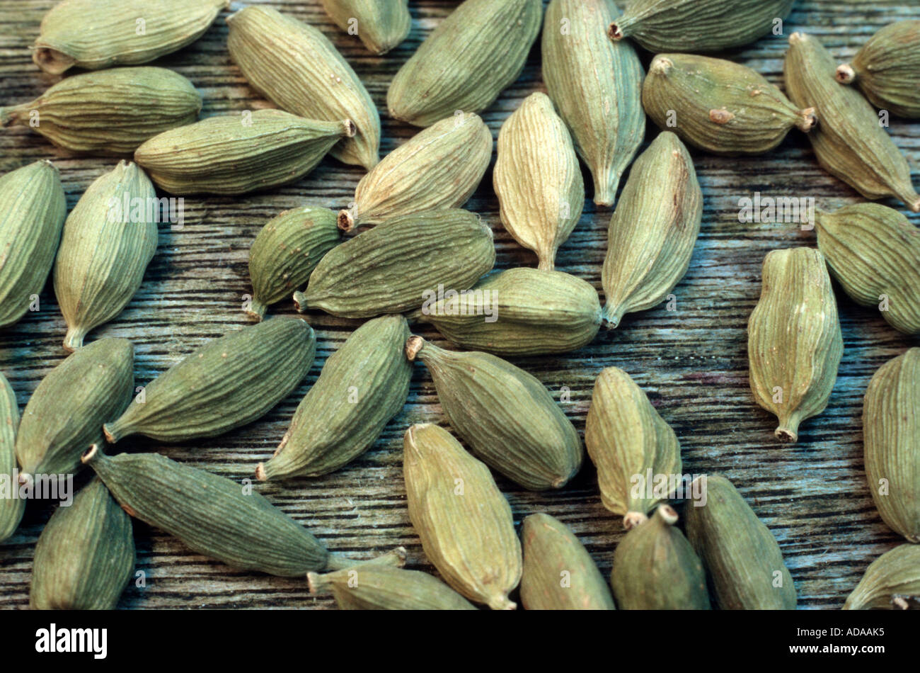 True cardamom elettaria cardamomum hi-res stock photography and images ...