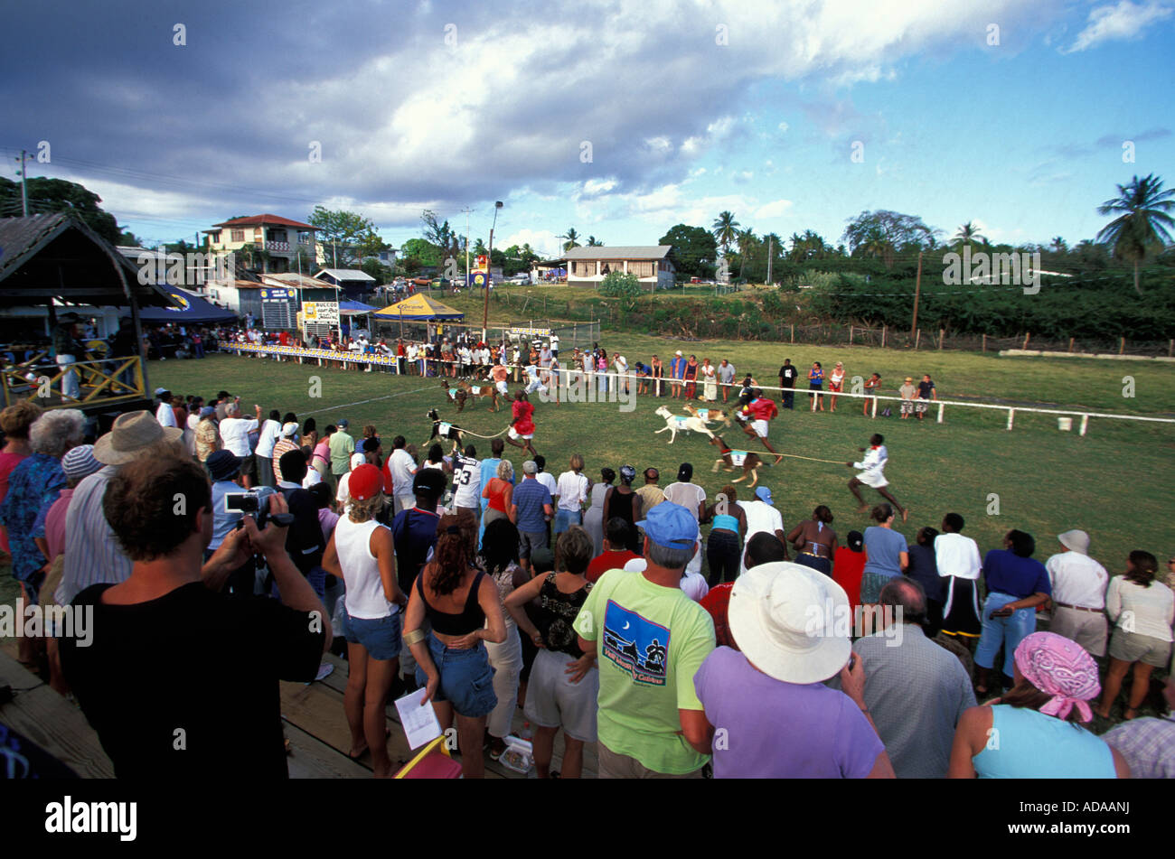 Spectators watchig Goat Race Buccoo Tobago Trinidad and Tobago Stock ...