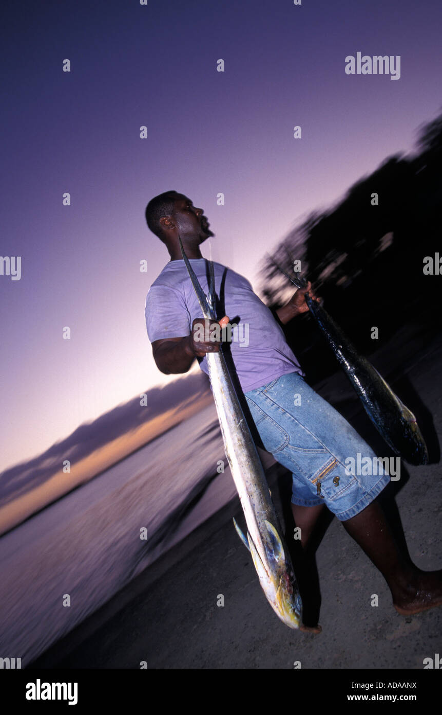 Fisherman carrying fish Buccoo Tobago Trinidad And Tobago Stock Photo ...