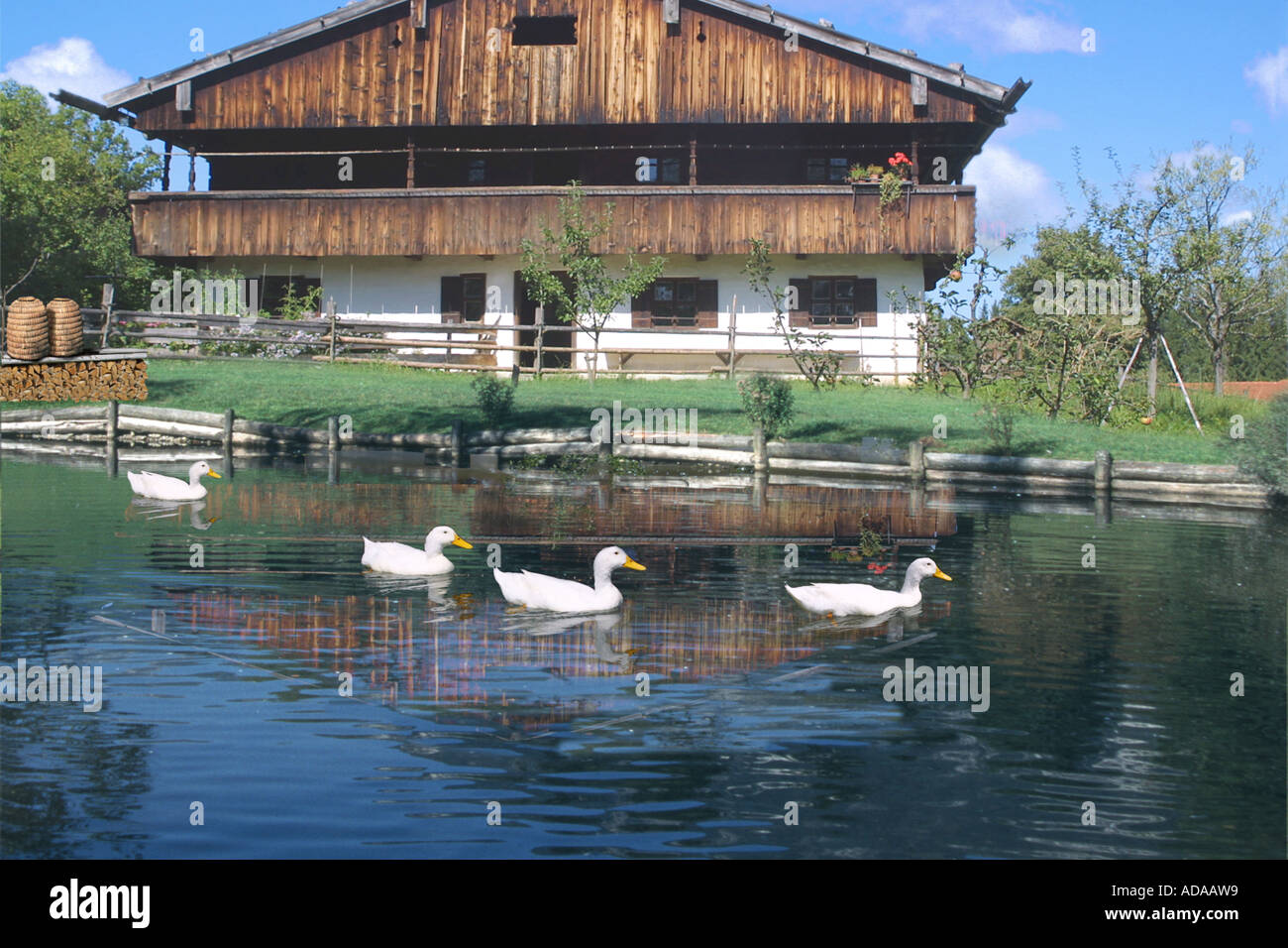 Farm pond hi-res stock photography and images - Alamy