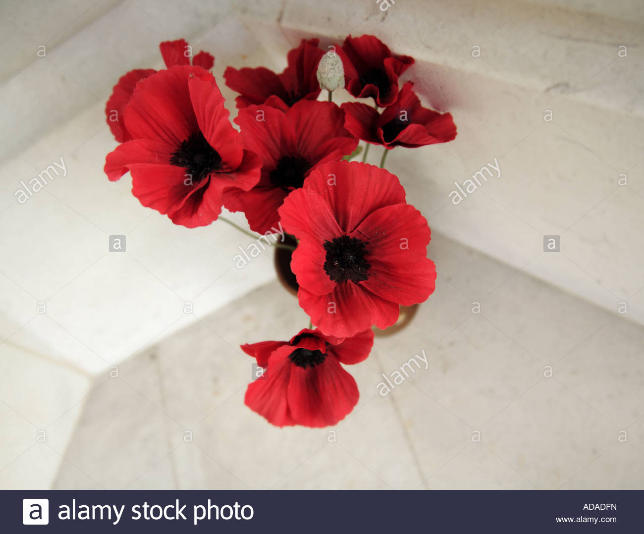 Ww1 Poppy Stock Photos & Ww1 Poppy Stock Images - Alamy