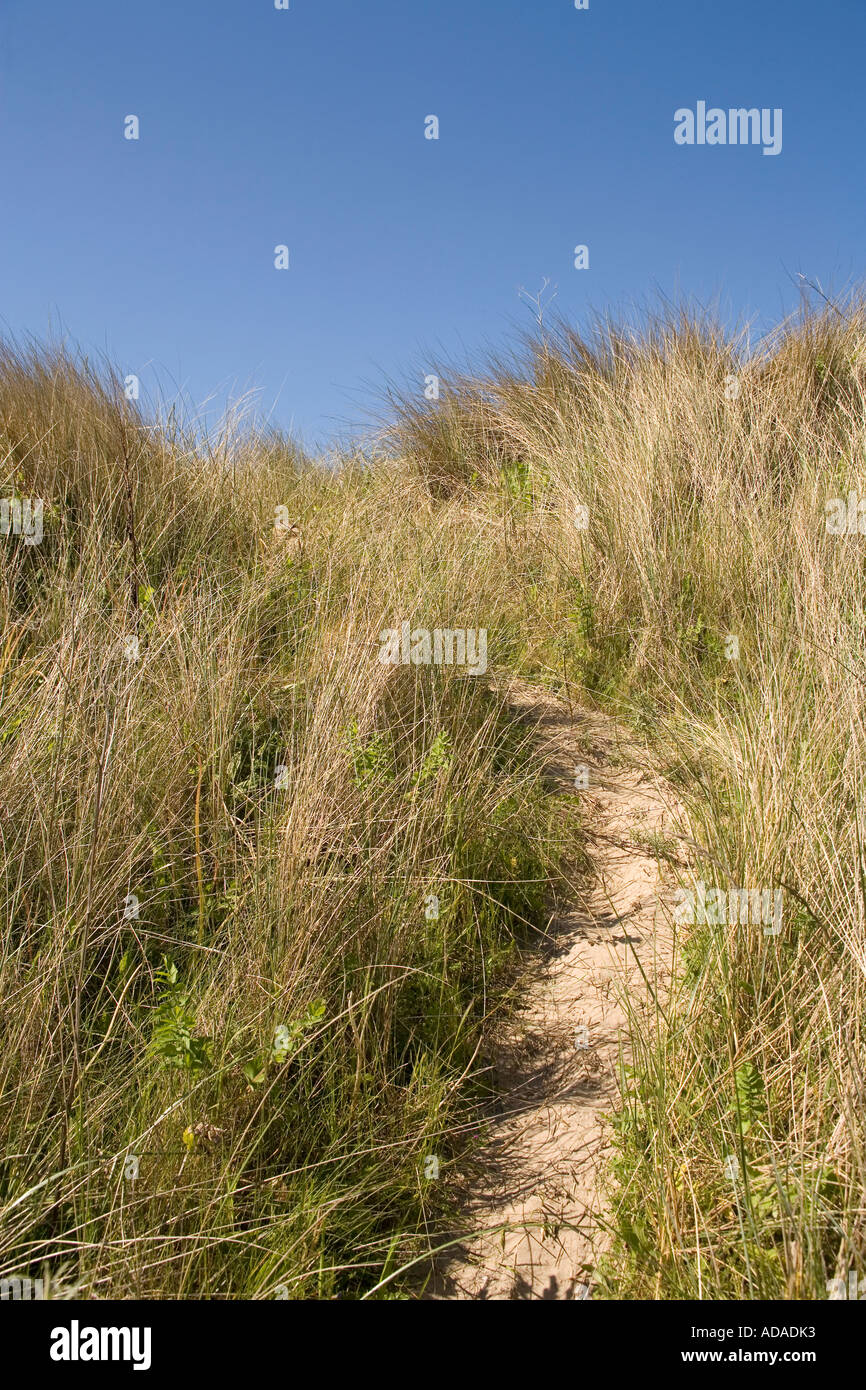 Wales Carmarthenshire Pembrey Country Park Cefn Sidan Beach sand dunes ...