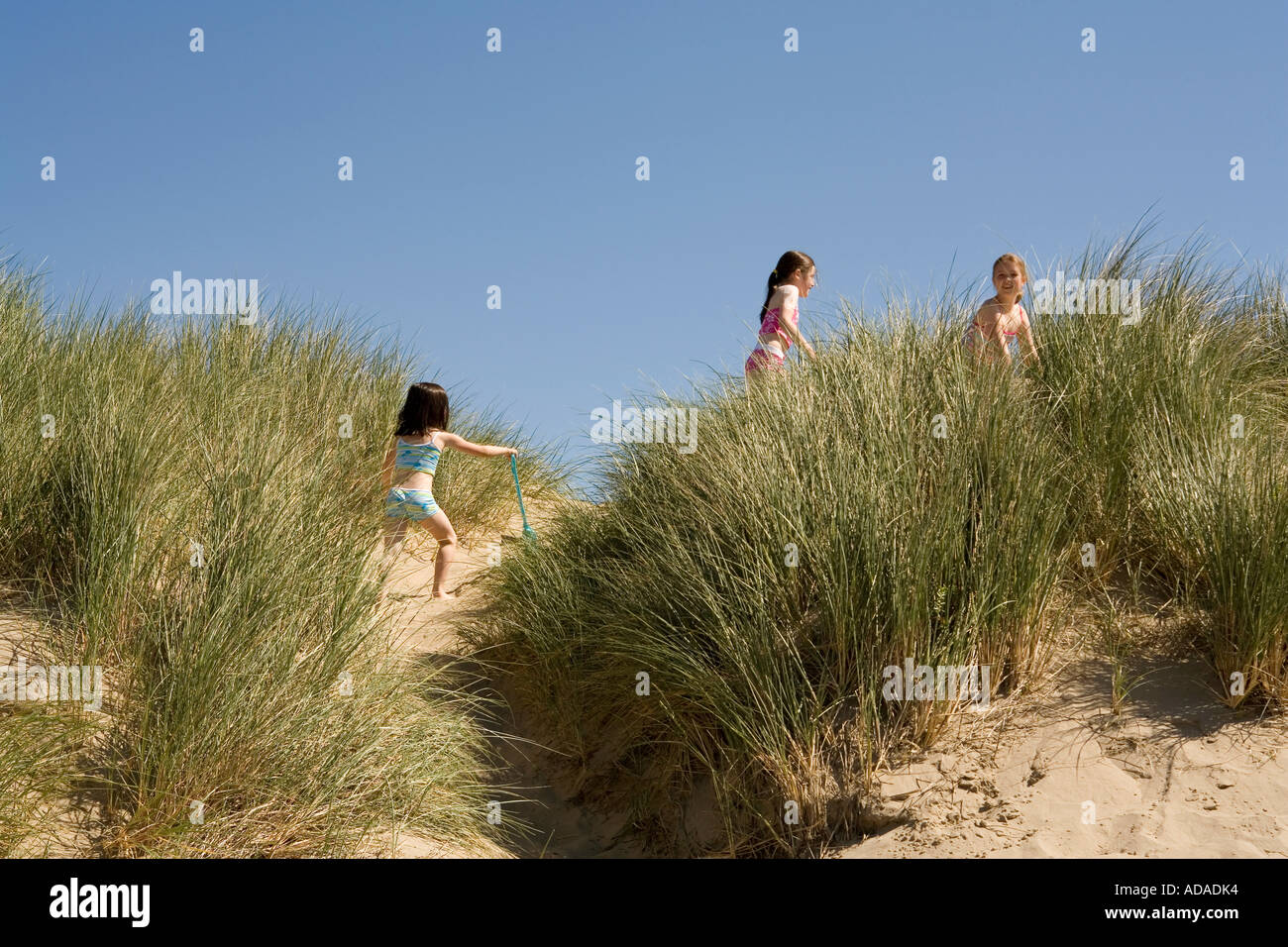 Carmarthen to pembrey country park hi-res stock photography and images ...