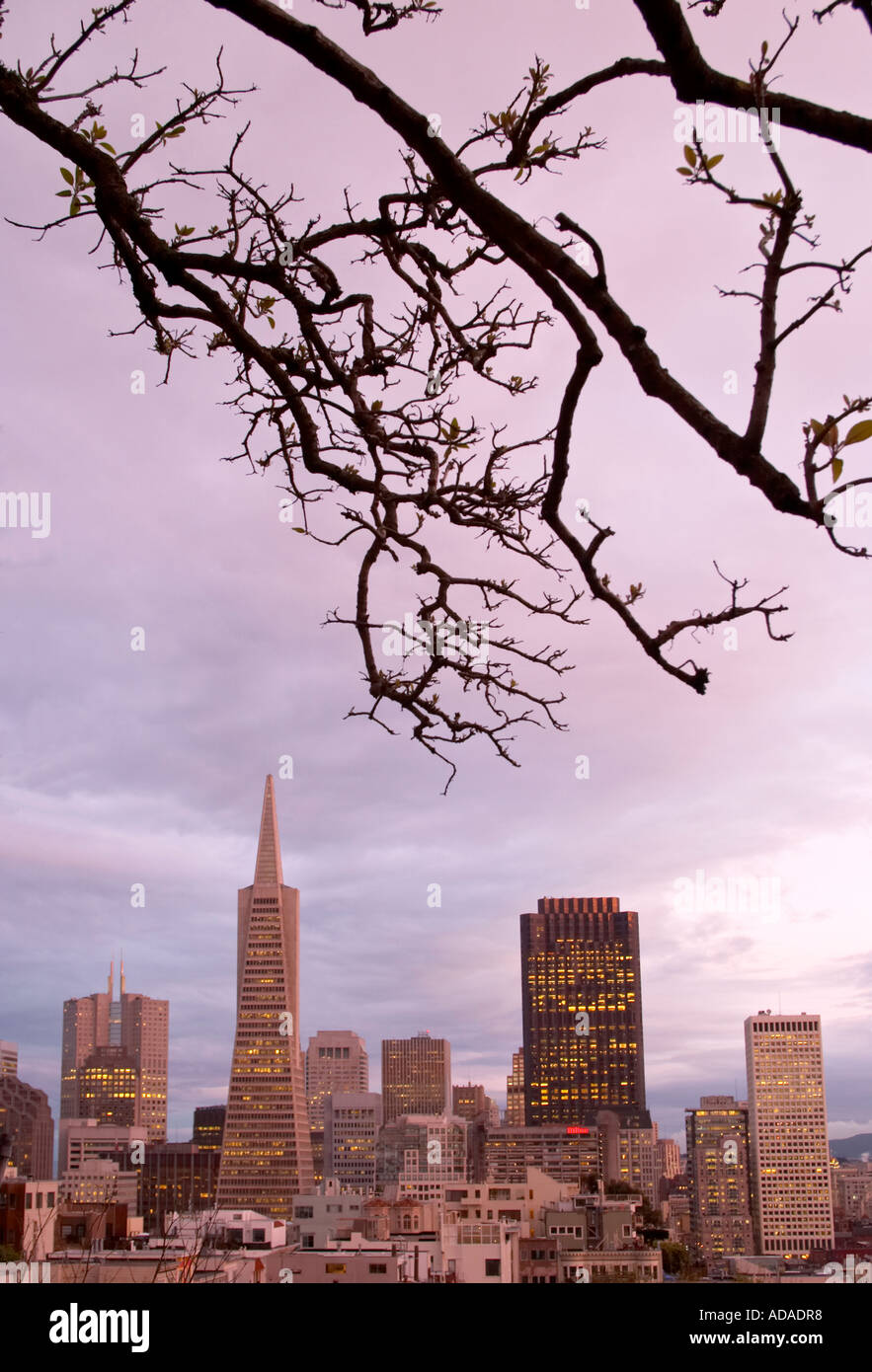 Aerial silhouette downtown skyscrapers san hi-res stock photography and ...