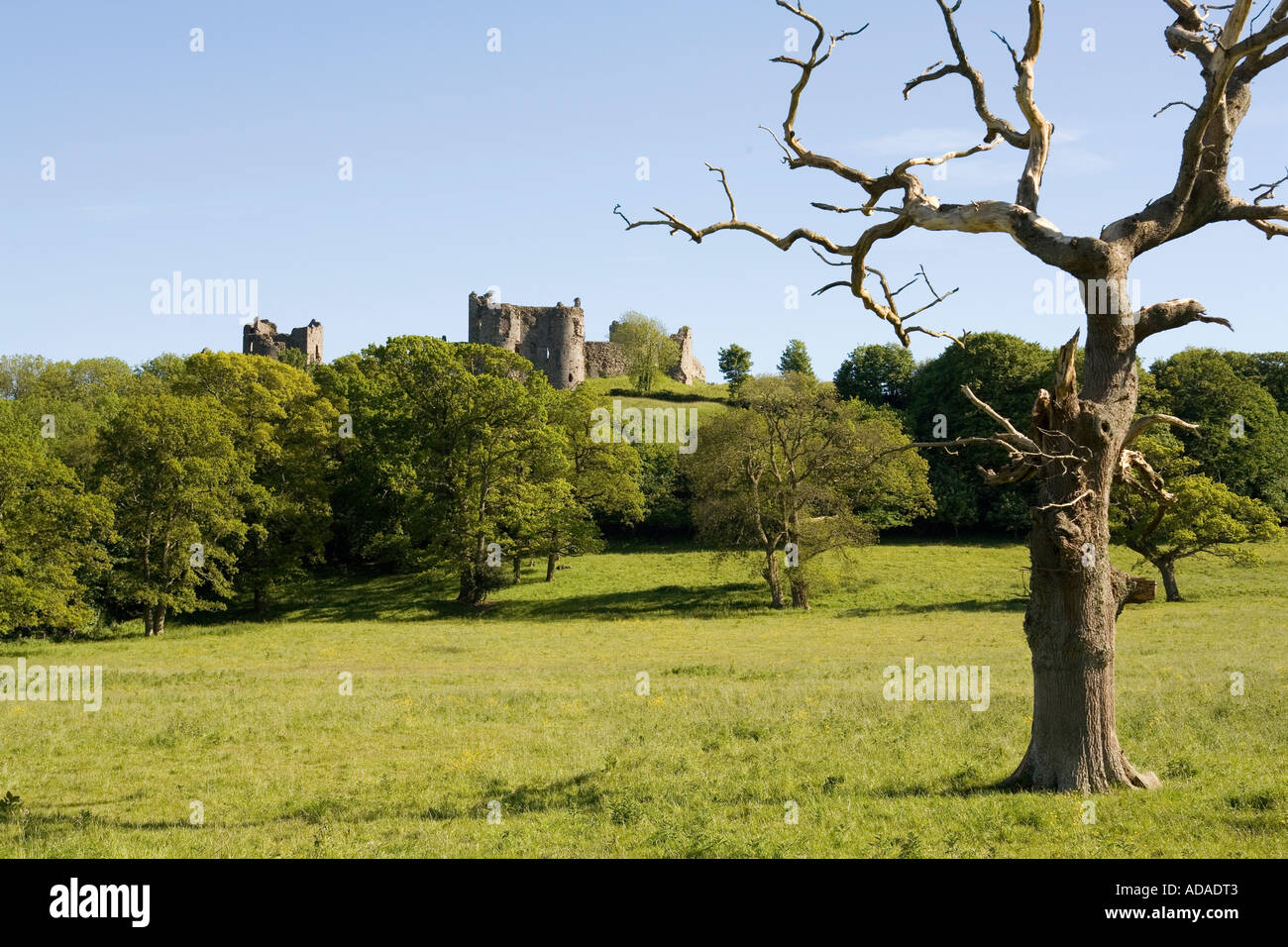 Llanstephan castle hi-res stock photography and images - Alamy