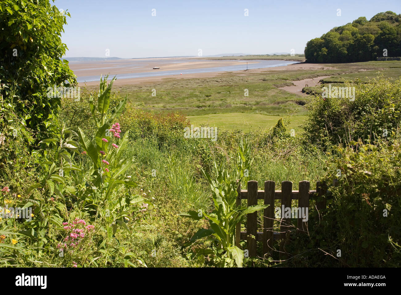 Castle estuary laugharne pembrokeshire river taf wales hi-res stock ...