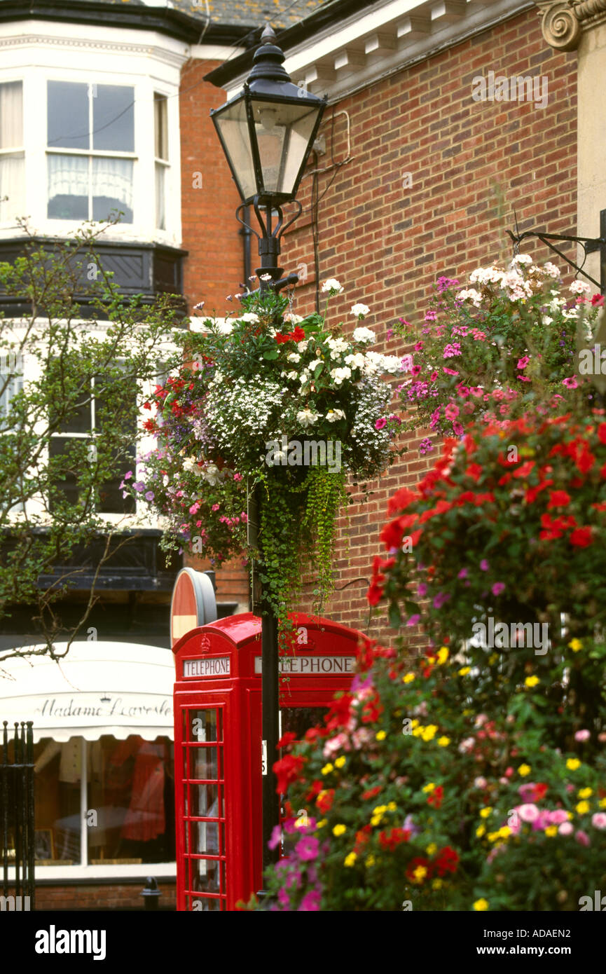 Devon flower trade hi-res stock photography and images - Alamy