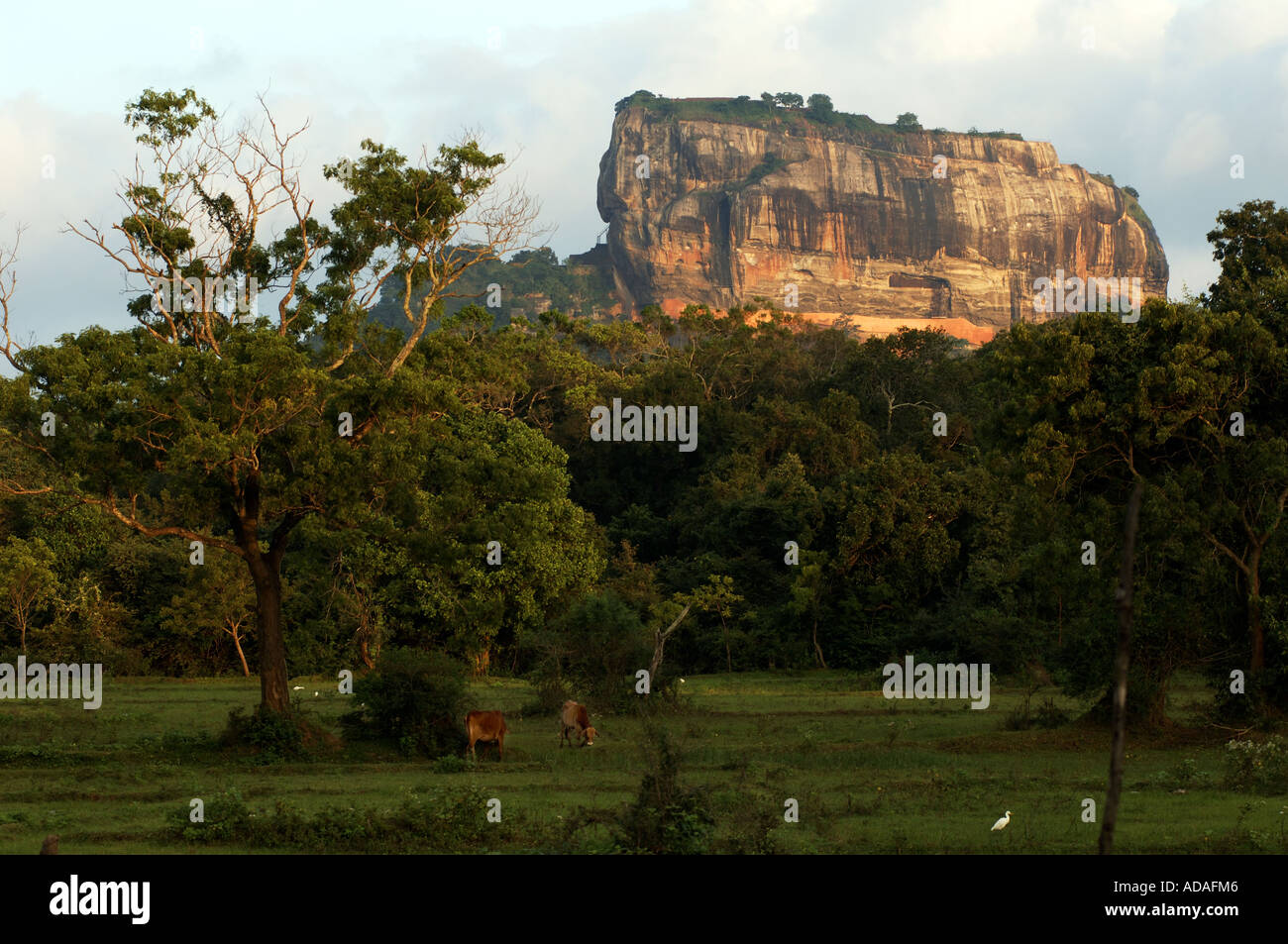 Sigiriya view on the rock palace Stock Photo - Alamy
