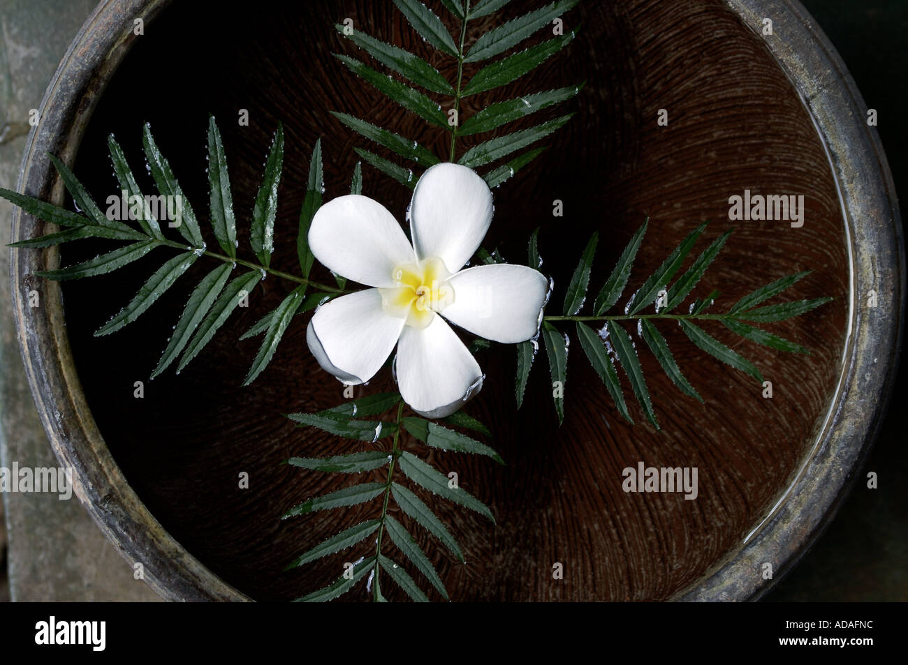 Flower decoration in an Ayurveda health centre Stock Photo - Alamy