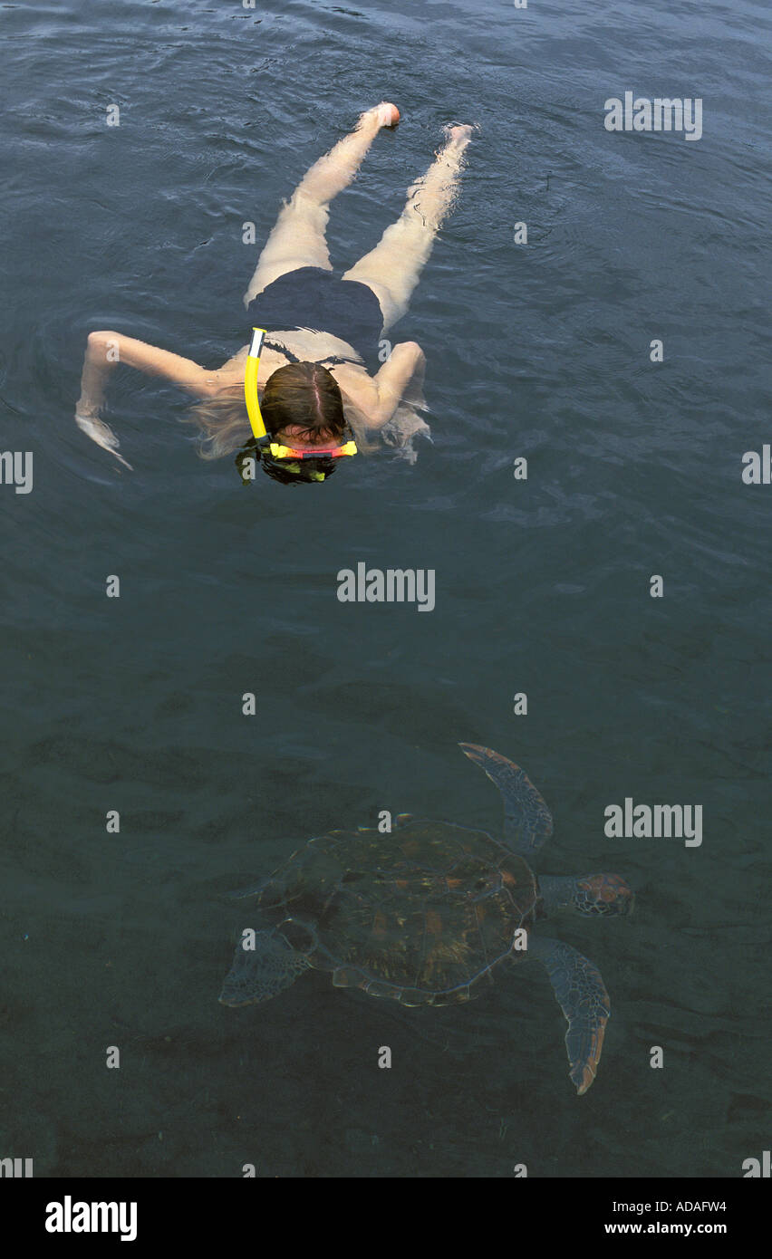Samoa a tourist snorkeling to watch sea turtles Stock Photo - Alamy