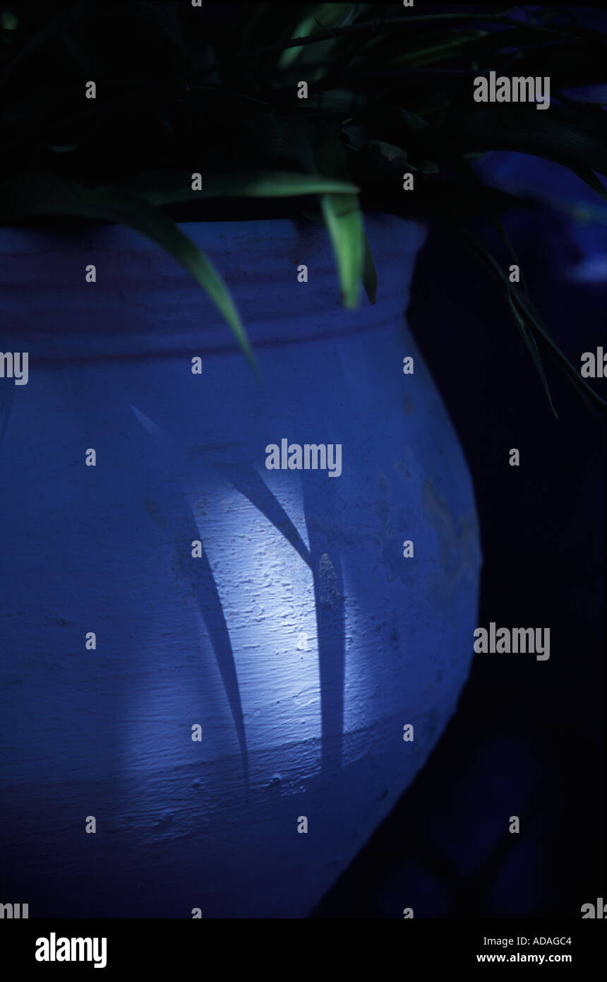 Blue Plant Pot with shadows Stock Photo - Alamy