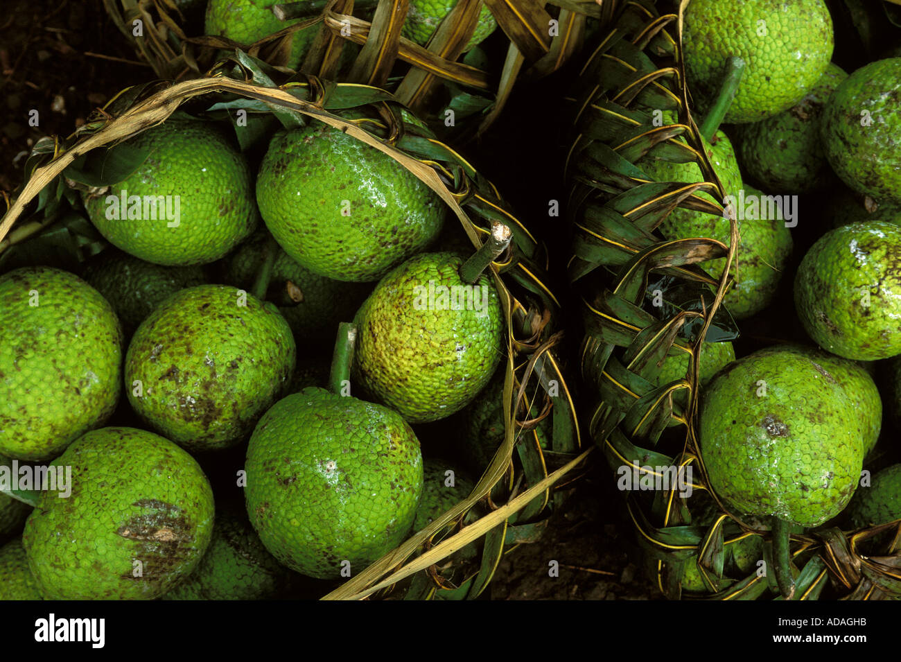 Samoa food hi-res stock photography and images - Alamy